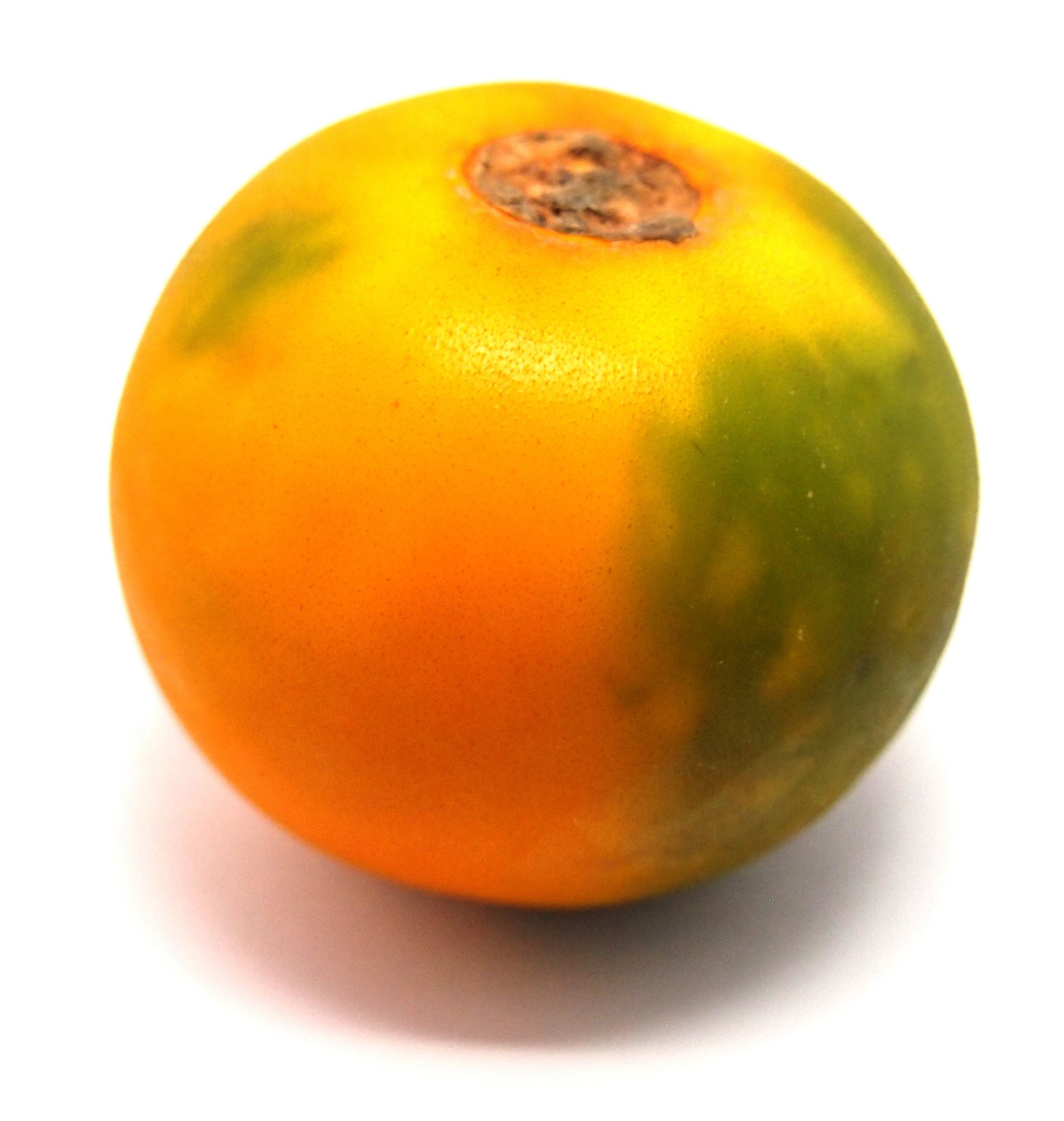 Lulo Divinely Aromatic Fruits Renowned for their Rich Citrus Taste My Exotic Fruit The UK s Leading Exotic Fruit Retailer