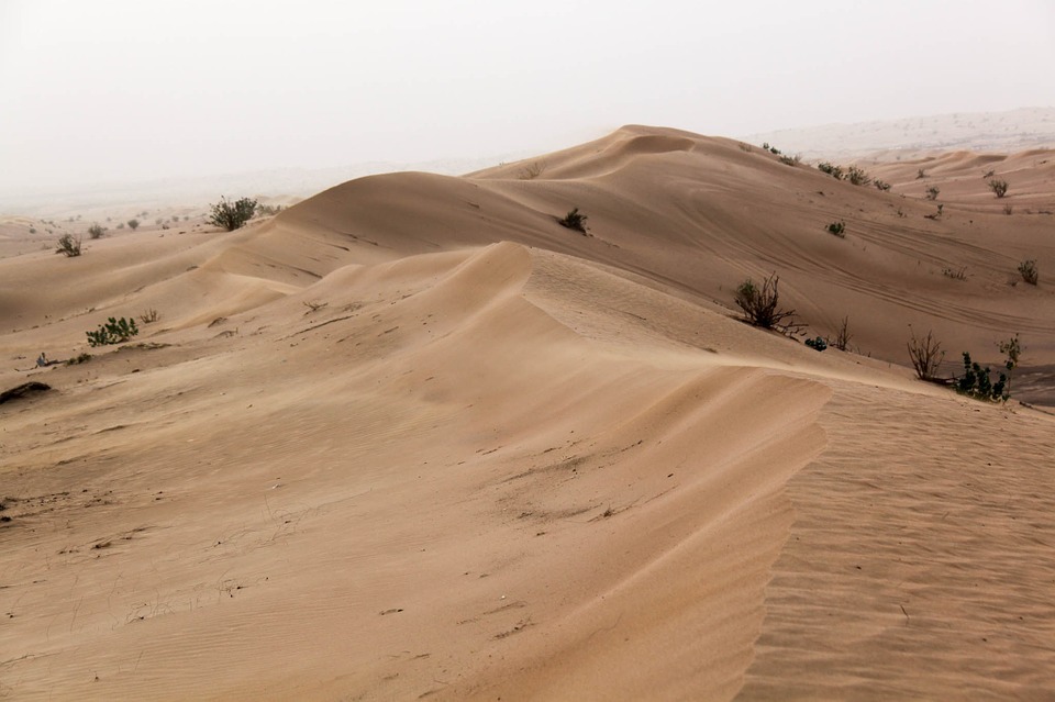 Dubai & de Perzische Golf | cruisetips.be
