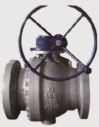 Manaul Valve | FASANI