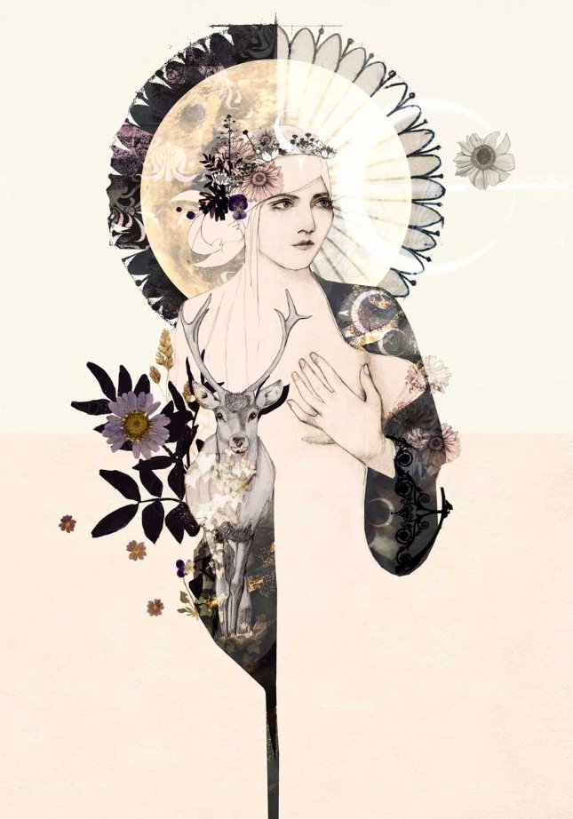 Emma Wild | gallery65.co.uk