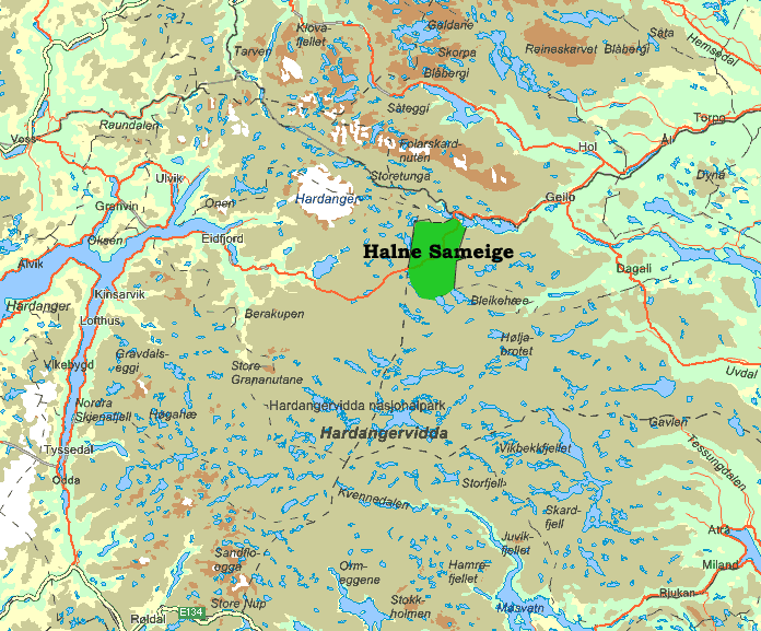 halnesameige.no
