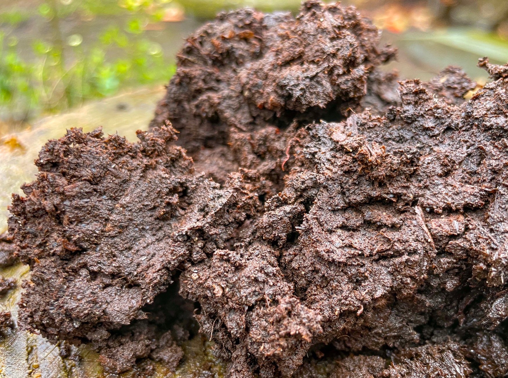 HG | carbon farming | HumusGuru.nl