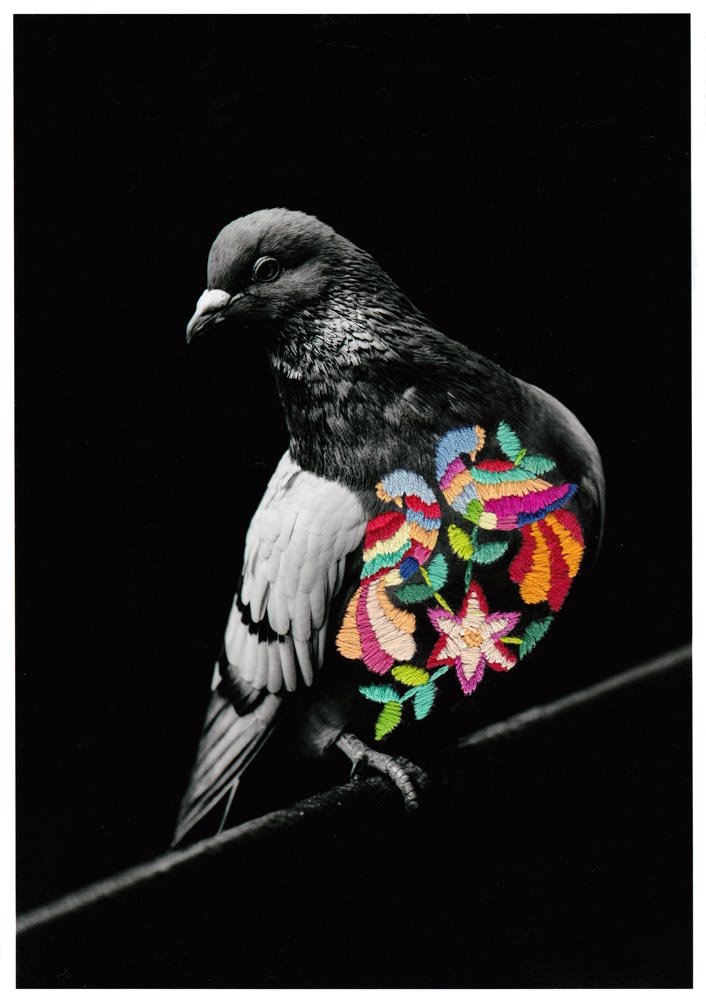Liz Jeary: Photographic Artist