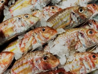 Rye Fish Market & Seafood Bar