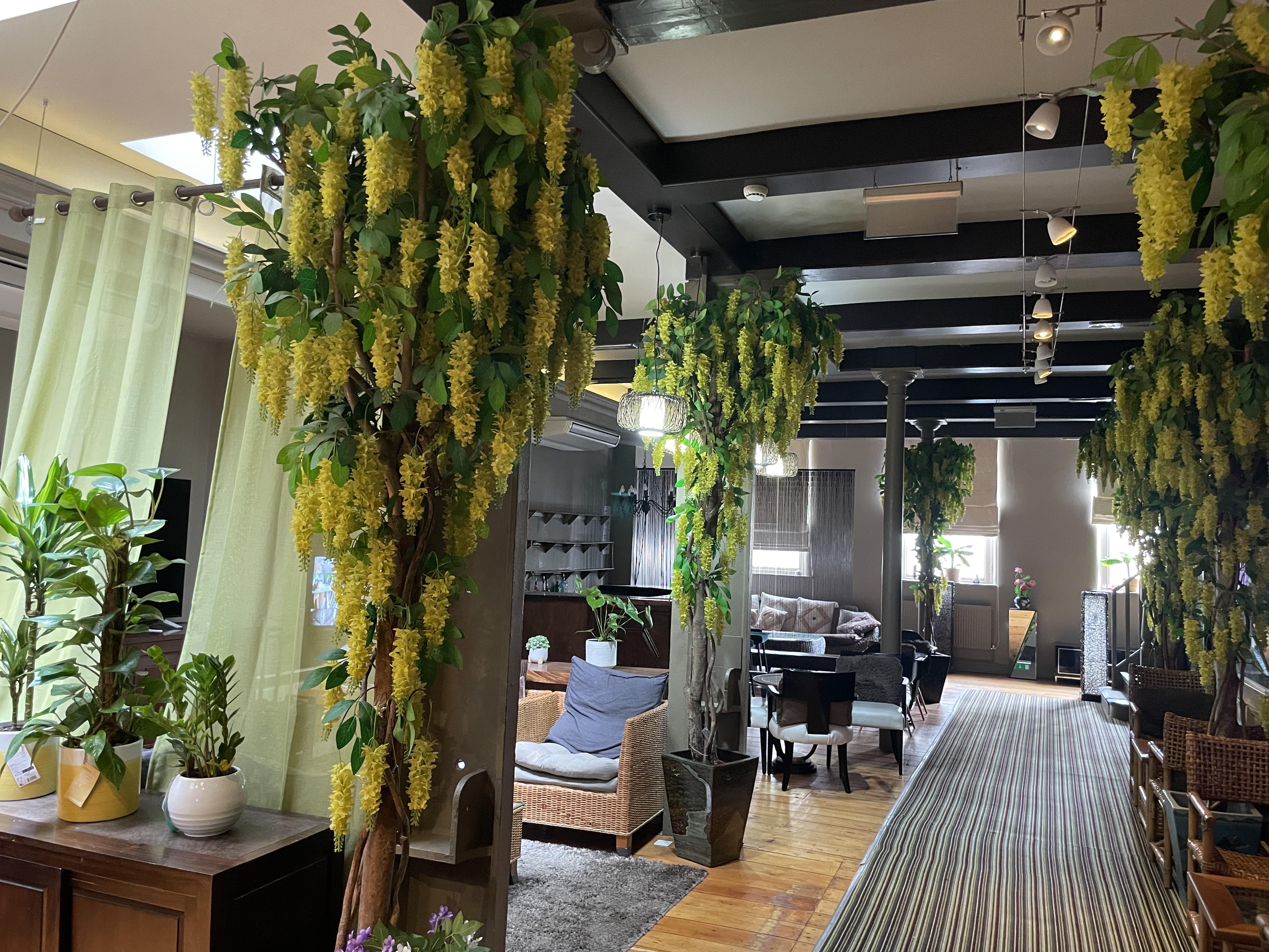 Swan Thai 2 Massage and Spa