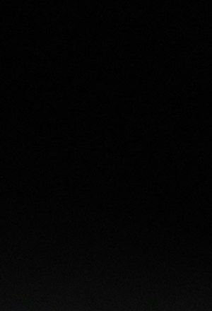 Mast Cell Tumors in Ferrets | Tree of Life Exotic Pet Medical Center