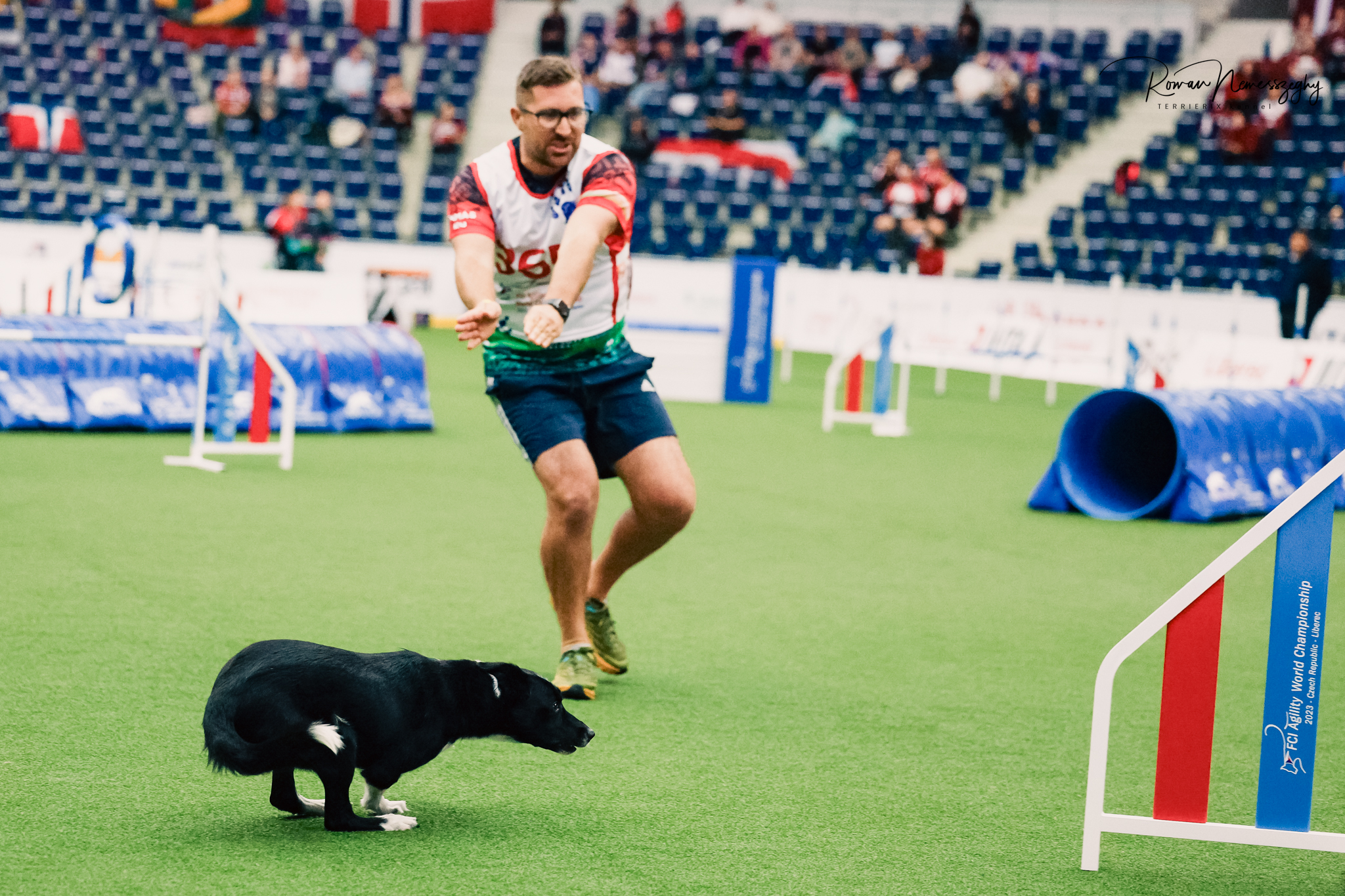 1-TDC Invitational | UK Agility International